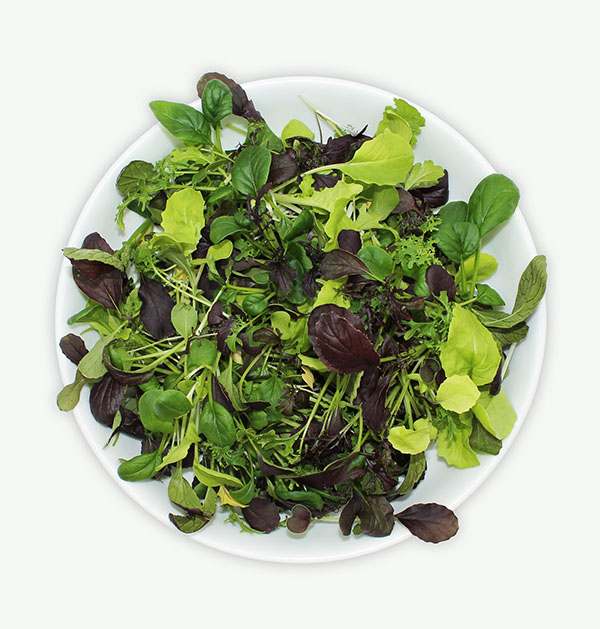 Zesty Baby Asian Greens seeds – Les Verts Living