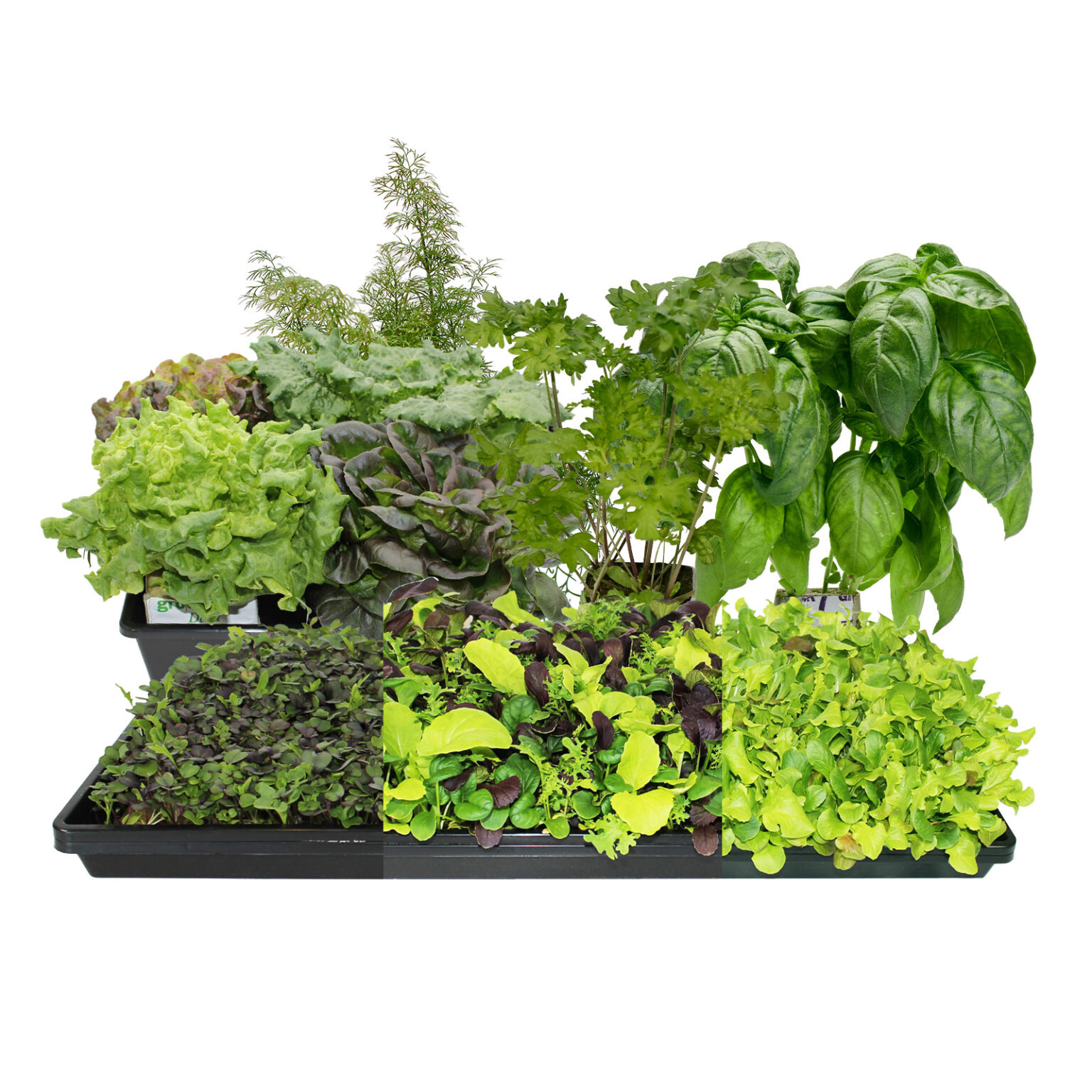 Terrace Pro™ complete indoor garden – Les Verts Living