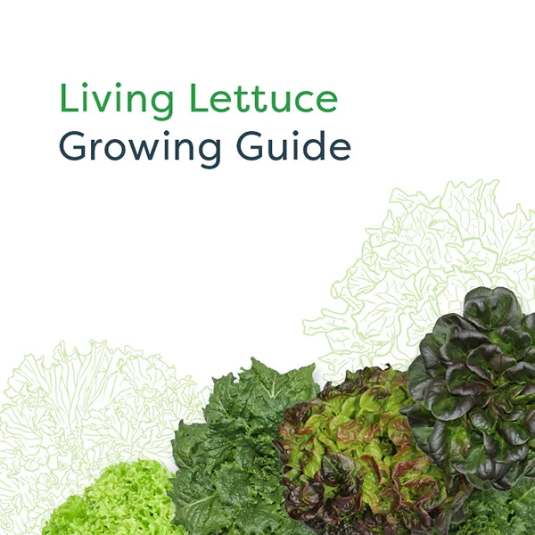 Les Verts Indoor Gardening Resources – Les Verts Living